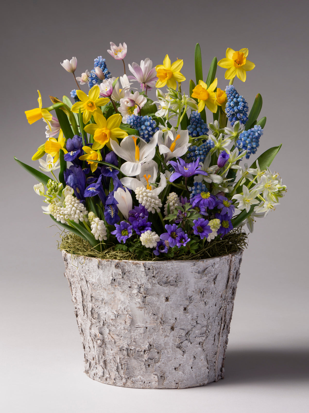 woodland fairy mixed bulb garden – Bulb & Blossom